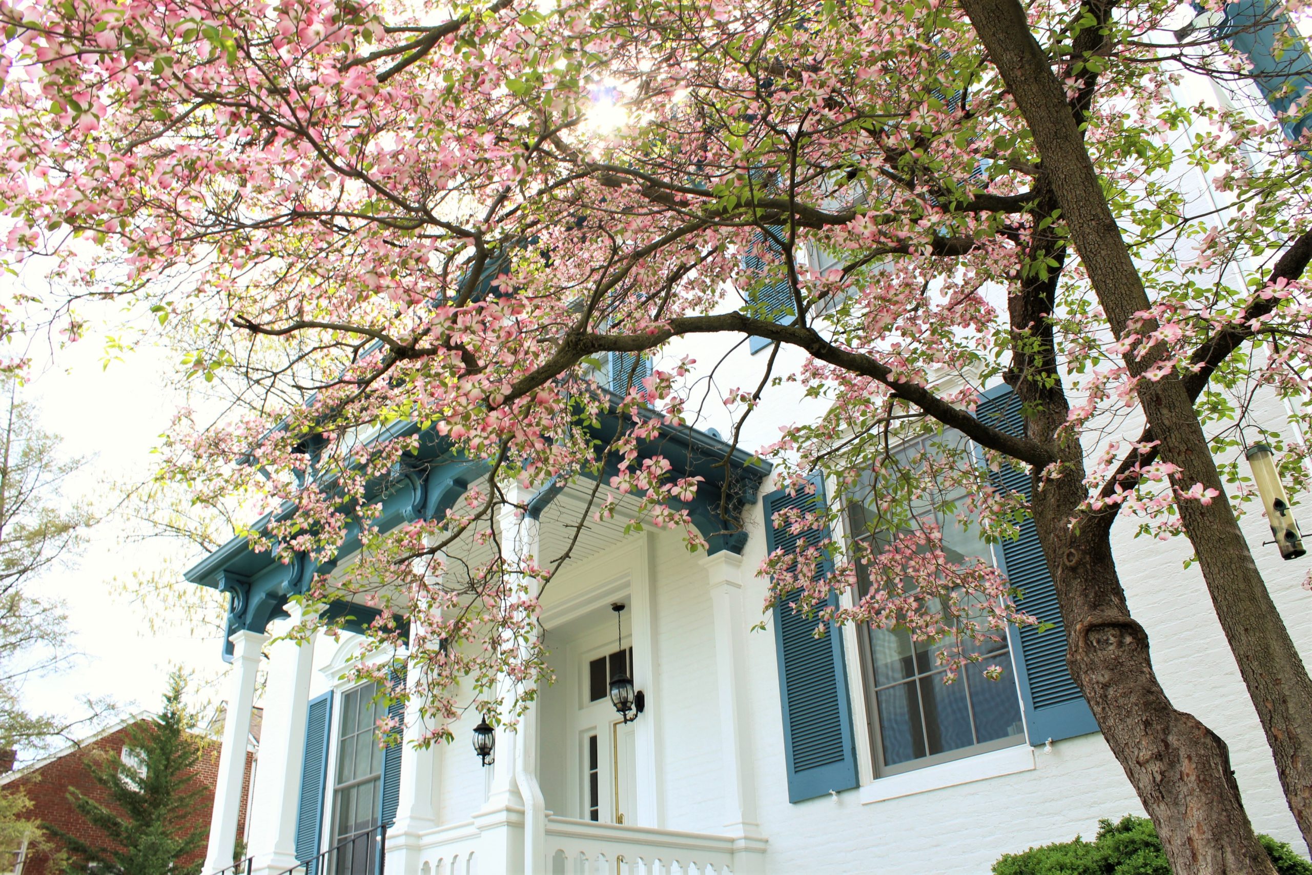 A Heartfelt Message from a Faith House Resident | Frederick Rescue Mission